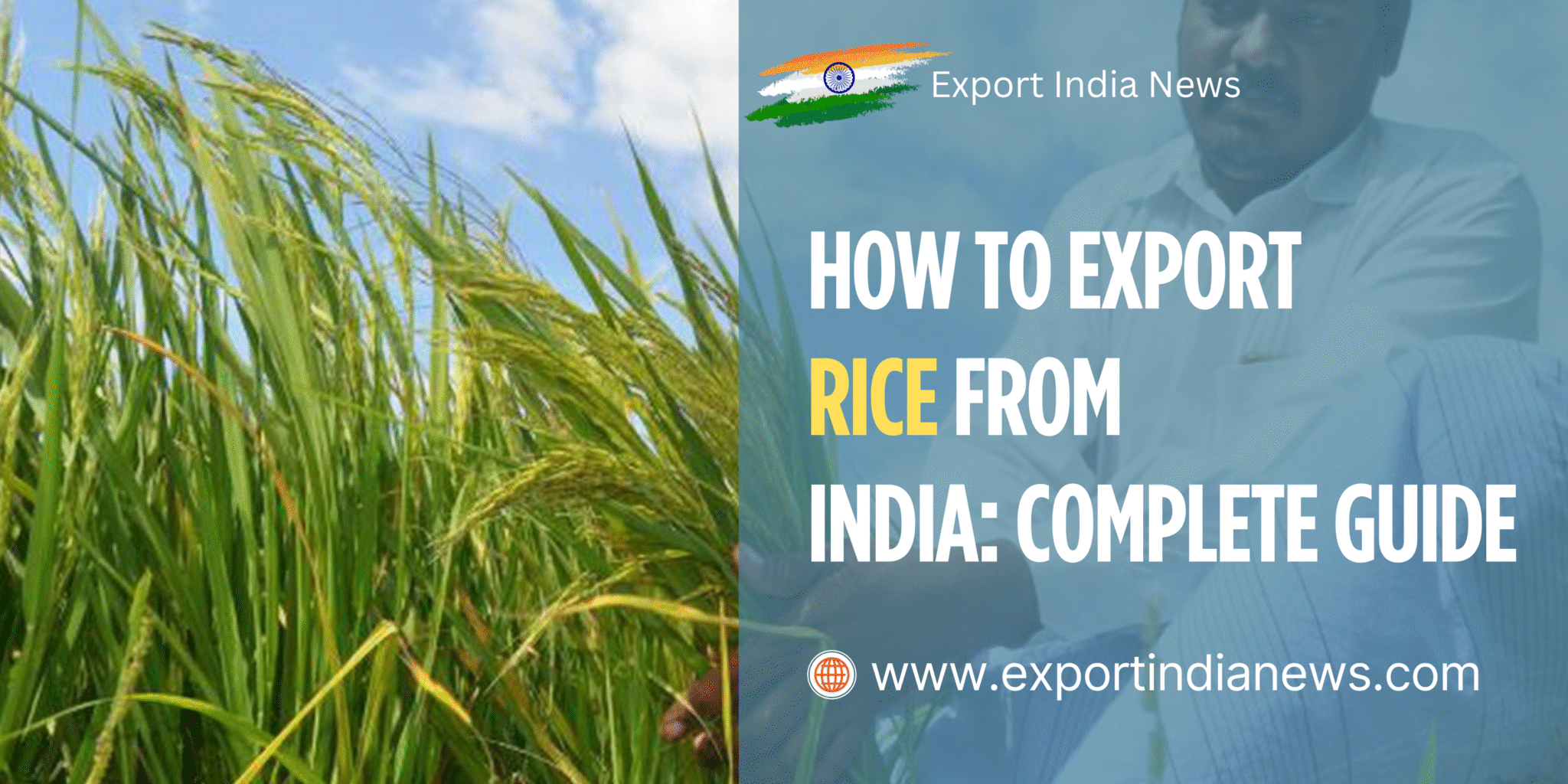 How to Export Rice from India? Complete Guide - Export India News